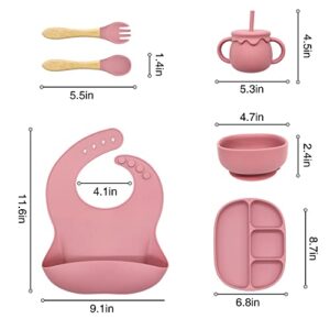 Rayshie Silicone Baby Feeding Supplies 6 in 1, Baby Dishes, Baby Plates for Babies, Baby Utensils 6-12 Months, Silicone Bibs for Babies, Straw Cup, Baby Led Weaning Supplies, BPA Free