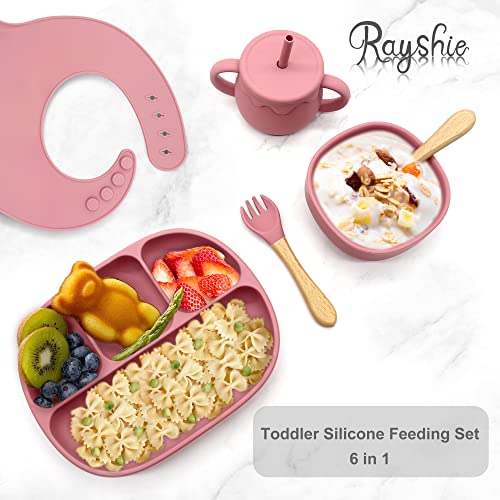 Rayshie Silicone Baby Feeding Supplies 6 in 1, Baby Dishes, Baby Plates for Babies, Baby Utensils 6-12 Months, Silicone Bibs for Babies, Straw Cup, Baby Led Weaning Supplies, BPA Free