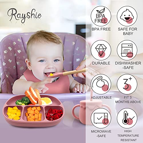 Rayshie Silicone Baby Feeding Supplies 6 in 1, Baby Dishes, Baby Plates for Babies, Baby Utensils 6-12 Months, Silicone Bibs for Babies, Straw Cup, Baby Led Weaning Supplies, BPA Free