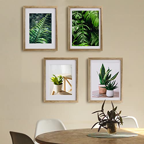 Egofine 12x16 Picture Frame with Plexiglass Made of Solid Wood, Display Pictures 9x12/11x14 with Mat or 12x16 Without Mat for Tabletop and Wall Mounting, Carbonized Brown