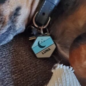 Silent Dog Tag Personalized with 5 Lines of Custom Deep Engraved Durable Soundless Silicone Pet ID Name Tag Hexagon Orange