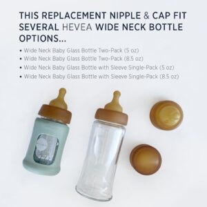 HEVEA Wide Neck Baby Bottle Nipple - Medium Flow Glass Bottle Nipple for Babies and Toddlers - Single-Pack - 100% Natural Rubber 3+ Months