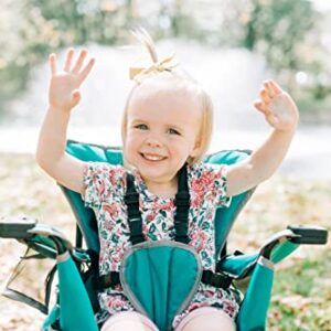 Baby Delight Go with Me Jubilee Deluxe Portable Chair | Indoor and Outdoor | Sun Canopy | Teal