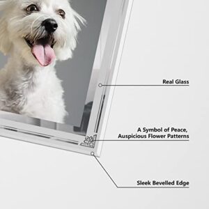 HORLIMER 8x10 Picture Frame Set of 2, Glass Photo Frame 8 by 10 for Tabletop, Horizontally or Vertically