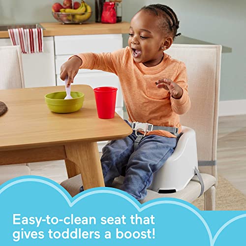 Fisher-Price Baby Portable Toddler Dining Chair Simple Clean & Comfort Booster with Contoured Seat and Harness,Panda