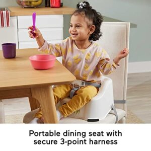 Fisher-Price Baby Portable Toddler Dining Chair Simple Clean & Comfort Booster with Contoured Seat and Harness,Panda