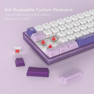 Womier WK61 Purple Keyboard - 60% RGB Mechanical Gaming Keyboard,Hot-Swappable Mini Keyboard w/Pudding Keycaps, Pro Driver/Software Supported - Red Switch(with Silicone Pad)