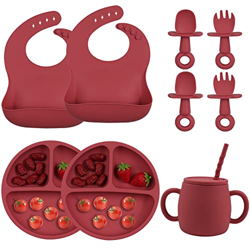 Baby Feeding Supplies - Led Weaning Silicone Baby Feeding Set, Baby Plates with Suction, Toddler Sippy Cups, First Stage Self Feeding Utensils Dishes Set with Bibs, Baby Spoons and Forks, 9 Pieces