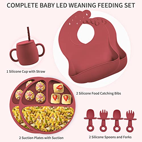 Baby Feeding Supplies - Led Weaning Silicone Baby Feeding Set, Baby Plates with Suction, Toddler Sippy Cups, First Stage Self Feeding Utensils Dishes Set with Bibs, Baby Spoons and Forks, 9 Pieces