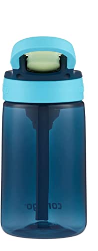 Contigo Kids Water Bottle with designed AUTOSPOUT Straw, 14 oz., Blueberry Ocean