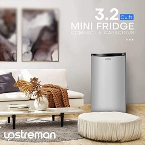 Upstreman 3.2 Cu.Ft Mini Fridge with Freezer, Single Door Mini Fridge, Adjustable Thermostat, Mini Refrigerator for Dorm, Office, Bedroom, Stainless Steel-SR321