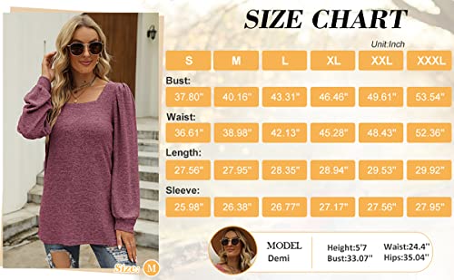 WIHOLL Tunic Shirts for Women Loose Fit Long Sleeve Square Neck Tops Grey Blue XL