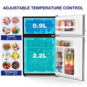 JOY Kitchen JR31TS1E10 2-Door Mini Fridge with Freezer Adjustable Thermostat, Removable Shelf, Energy Efficient, Front Leveling Legs, 3.1 Cu Ft, Stainless Steel