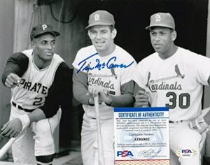 tim mccarver st. louis cardinals w/clemente/cepeda psa authentic signed 8x10 - autographed mlb photos