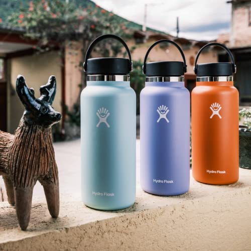 Hydro Flask 20 oz Wide Mouth with Flex Cap Stainless Steel Reusable Water Bottle Lupine - Vacuum Insulated, Dishwasher Safe, BPA-Free, Non-Toxic