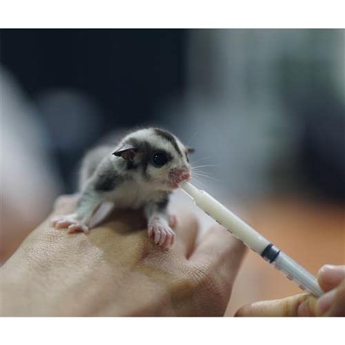 Exotic Nutrition Baby Squirrel Nursing Set (Basic) - Milk Replacer, Feeding Syringes