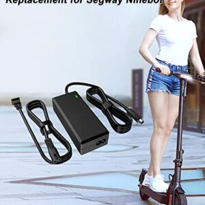 Replacement for Segway Ninebot Charger 42V 1.7A Fit for Ninebot Segway Scooter Charger ES2/ES4/E22/ES1L ES Series KickScooters