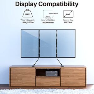 EZISE Universal TV Stand for All Brands 22 to 65 inch TVs, Easy Install Tabletop TV Stands Base fits VESA up to 800 by 400mm, Include Hardware Screws fit All Brand TVs