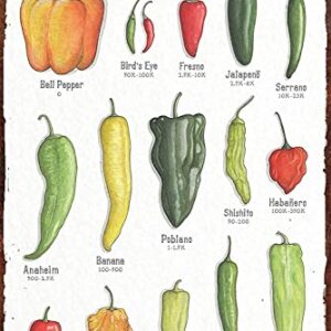 Pepper Knowledge Metal Signs Peppers Scoville Heat Units Posters Wall Decor Retro Plaque Science Guide Room Club Kitchen Cafe Garage Home Bar Pub Diner 12x16 Inches