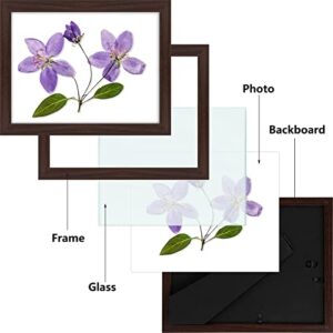 Frametory, 8.5x11 Picture Frame with Glass, Tabletop & Wall Horizontal or Vertical Display, 8 1/2 x 11 Photo Frame for Diploma, Documents (Brown, 1-Pack)