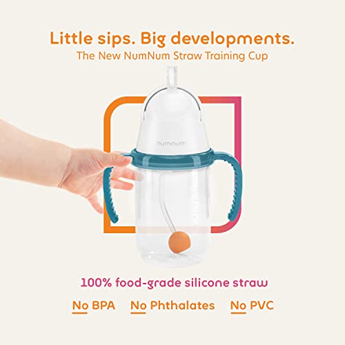 numnum Weighted Straw Cup for Infant & Toddler 6-12 months - Expert Endorsed - 7oz Training Baby Cups w/Removable Handles - Easy to Use Self Feeding & Drinking Skills - Food-Grade Silicone (Blue)