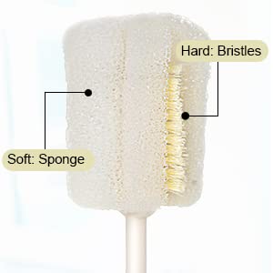 BEDELITE Water Baby Bottle Brush Cleaner, Long Handle Sponge Cleaning Brush, Bottle Cleaner Brush with Straw Cleaner for Washing Baby Bottles, Glasswares, Narrow Cup, Beige, 1 Pack