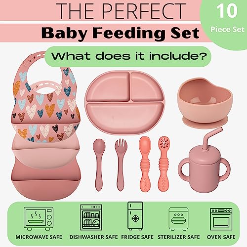 HappyDoo - Baby Led Weaning Supplies 10 pcs - Silicone Feeding Set For Baby with Baby Spoon Set + Suction Plates For Baby + Suction Bowls Silicone Plates - BPA Free and BLW Utensils - Baby Eating Set