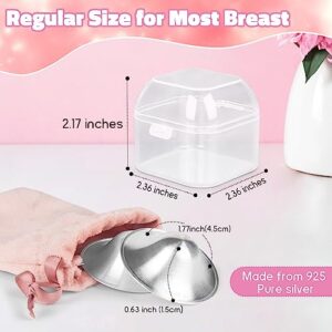 Original Silver Nursing Cups, Nipple Covers for Breastfeeding, Nipple Shields for Nursing Newborns, Breastfeeding Essentials Healing Cups for Sore Nipple Relief, Newborn Essentials Must Haves-Regular