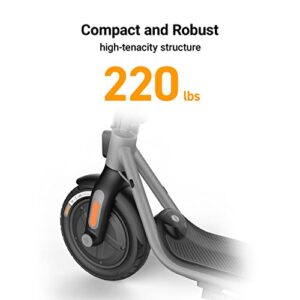 Segway Ninebot D18W Electric KickScooter- 250W Motor, 11.2 Miles Range & 15.5MPH, w/t 10" Pneumatic Tires, Dual Brakes, Commuting Electric Scooter for Adults & Teens