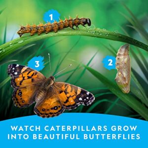 NATIONAL GEOGRAPHIC Butterfly Growing Kit - Butterfly Habitat Kit with Voucher to Redeem 5 Caterpillars ($10.95 S&H Not Included), Butterfly Cage, Feeder (Amazon Exclusive)