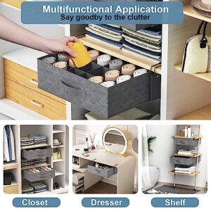 Carry360 2 Pack Sock Underwear Drawer Organizer Dividers, 24 Cell Fabric Foldable and Washable Cabinet Closet Organizers with Adjustable Clips for Clothes, Socks, Underwear (Gray)