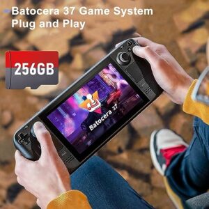 256G Retro Games Card for Steam Deck/Win 600, 43552 Retro Games and 73 Emulator Console Plug and Play, Batocera 37 Game System, DIY Your Retro Game Console (256G)