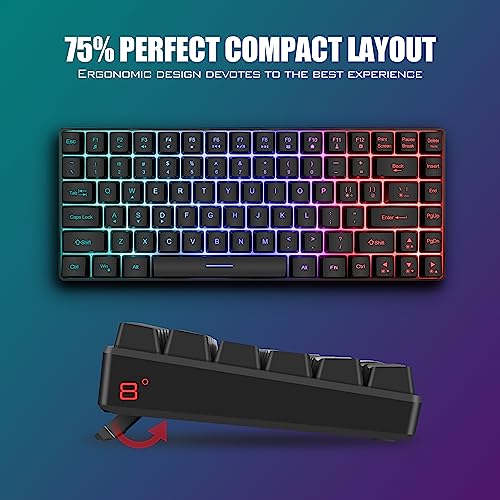 RedThunder K84 Wireless Keyboard and Mouse Combo, Rainbow LED Backlit Rechargeable Battery, 75% Layout 84 Keys TKL Ultra Compact Gaming Keyboard & Lightweight 7200 DPI Honeycomb Optical Mouse (Black)