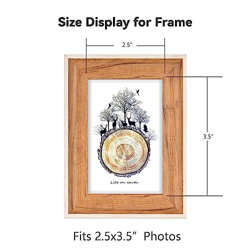 Autjvy 2.5x3.5 Picture Frame Set of 2, Modern Rustic Multi Picture Frames Natural Woodgrain Pattern Photo Frame with HD Real Glass, Vertical and Horizontal for Tabletop and Wall Mounting Display. (2 Pack)