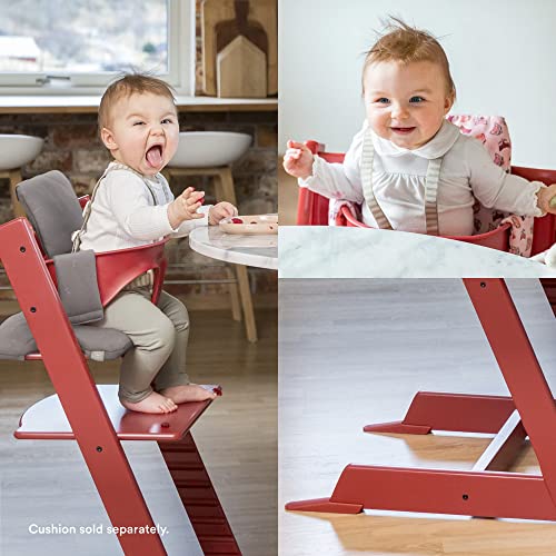 Tripp Trapp Baby Set from Stokke, Glacier Green - Convert The Tripp Trapp Chair into High Chair - Removable Seat + Harness for 6-36 Months - Compatible with Tripp Trapp Models After May 2006