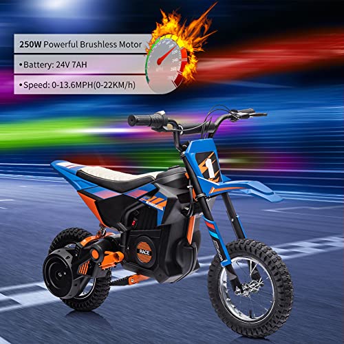 24V Electric Off-Road Motorcycle,250W Motor 13.6MPH Fast Speed Motocross,Leather Seat Dirt Bike,Twist Grip Throttle,Metal Suspension,Air-Filled Tires,for Kids Teens Age 13+ (Blue)