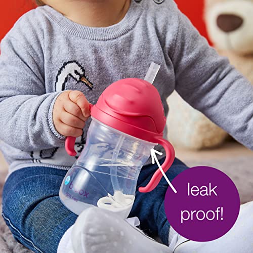 b.box Sippy Cup + Replacement Straw and Cleaner Pack | Includes 2 Weighted Straw Sippy Cups (Raspberry & Grape) | Leak Proof, Spill Proof, BPA Free