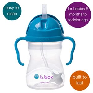 b.box Sippy Cup + Replacement Straw & Cleaner Combo Pack | Includes 2 Weighted Straw Sippy cups (1 Cobalt, 1 Apple) | Spill Proof, Leak Proof, BPA Free