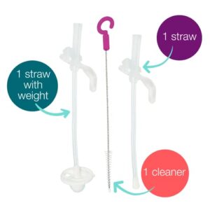 b.box Sippy Cup + Replacement Straw and Cleaner Pack | Includes 2 Weighted Straw Sippy Cups (Raspberry & Grape) | Leak Proof, Spill Proof, BPA Free