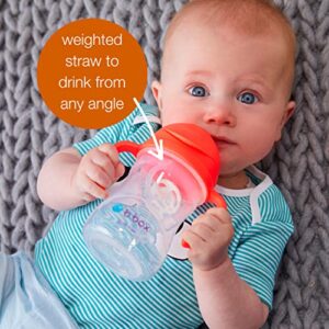 b.box Sippy Cup + Replacement Straw and Cleaner Pack | Includes 2 Weighted Straw Sippy Cups (Raspberry & Grape) | Leak Proof, Spill Proof, BPA Free