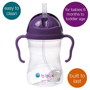 b.box Sippy Cup + Replacement Straw and Cleaner Pack | Includes 2 Weighted Straw Sippy Cups (Raspberry & Grape) | Leak Proof, Spill Proof, BPA Free