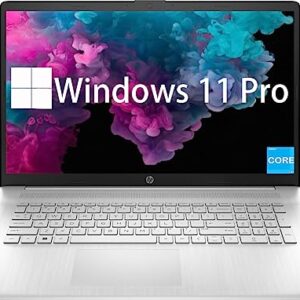 HP 17.3 Inch Business Laptop, 11th Gen Intel Core i3-1125G4, Windows 11 Pro, 16GB RAM, 1TB SSD, HDMI, Wi-Fi, Bluetooth, Webcam, Natural Silver, PCM