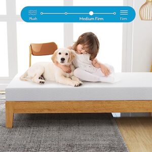 Twin Mattress, Fiberglass Free 6/8/10/12 inch Twin Size Bed Mattresses in A Box, CertiPUR-US Certified Made in USA for Daybed, Kids Bunk Trundle Bed, Gel Memory Foam, Medium Firm, 75"L x 38"W