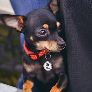 MYLUCKYTAG QR Code ESA Emotional Support Dog ID Tag - Pet Online Profile - Scan QR Receive Instant Pet Location Alert Email