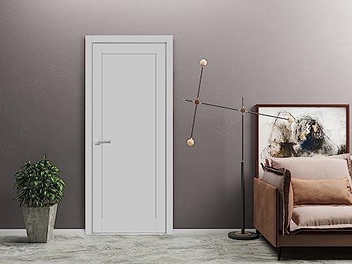 Solid French Door 36 x 80 inches | Quadro 4111 Matte Grey | Single Regular Panel Frame Trims Handle | Bathroom Bedroom Sturdy Doors