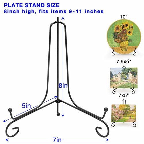 Qiannhee Plate Stands for Display (5 Pcs,8 inch) and Silver Floating frame (1 Pcs, 8x10), Picture Frame Hold 8x10in 6x8in 5x7in Photo for Tabletop, Glass Finish, Metal Stand Frame