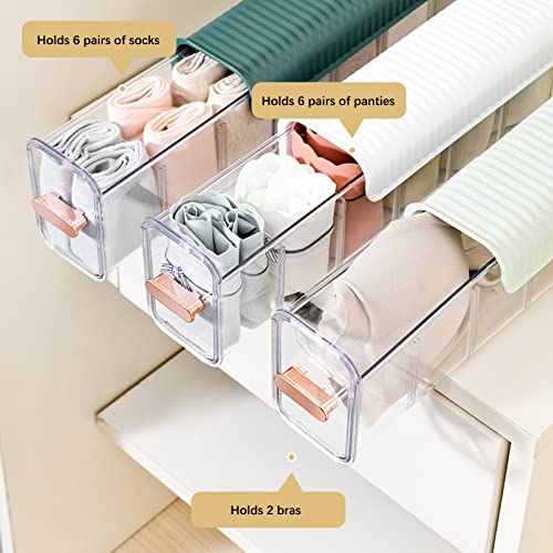 YUIOP Underwear Drawer Organizer, Wall Mount Storage Boxes Sock Acrylic Organizers Anti Dust Storage Boxes for Closet, Bedroom, Wall, Office, Kitchen(#3)