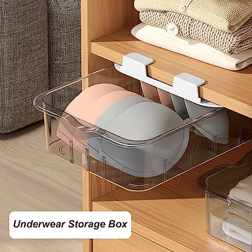 degtnb 1 Set of Underwear Storage Box - Large Capacity, Multi-compartments, Dustproof, Space-Saving, Drawer Style Sock and Bras Organizer, Ideal Home Supplies