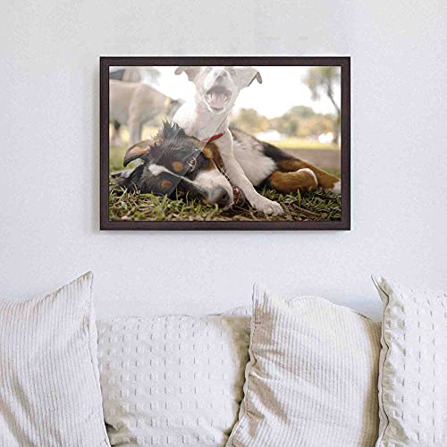 19x39 Rustic Brown Real Wood Picture Frame Width 0.75 Inches | Interior Frame Depth 0.5 Inches | Kingsley Brown Distressed Photo Frame Complete with UV Acrylic, Foam Board Backing & Hanging Hardware