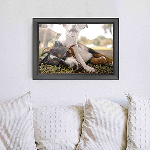 16x19 Frame Black Passaggi Solid Wood Picture Frame Width 1.5 Inches | Interior Frame Depth 0.5 Inches | Passaggi Nero Modern Photo Frame Complete with UV Acrylic, Foam Board Backing & Hanging